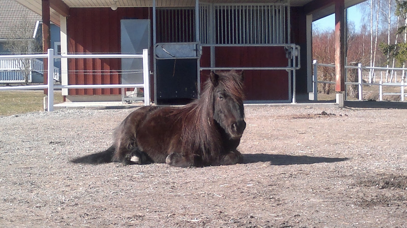 Tapahtumarikas Tallimme!