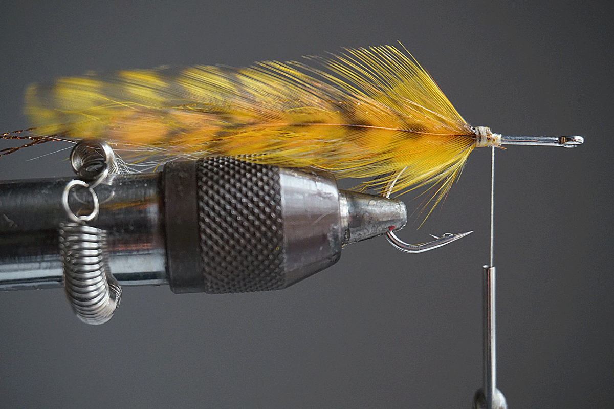 Fly Paper: TCL Special Fly Pattern