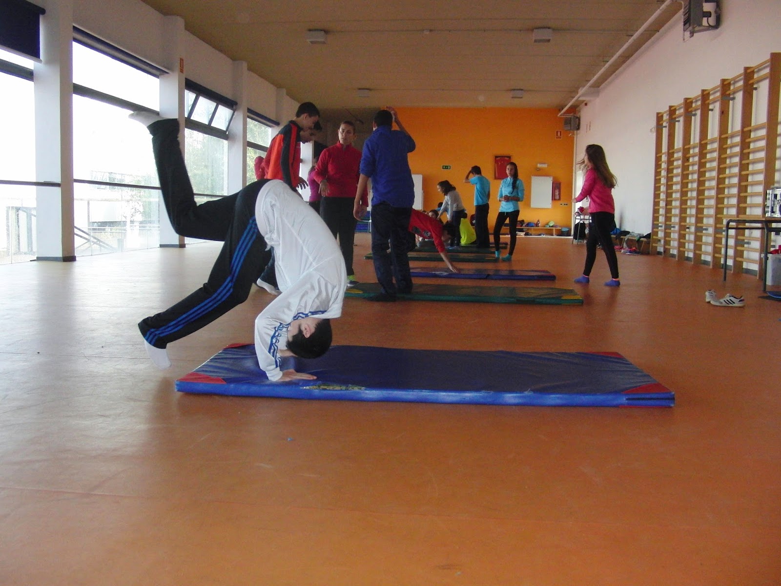 E.F. IES QUINTANA DE LA SERENA.: GIMNASIA ACROBATICA