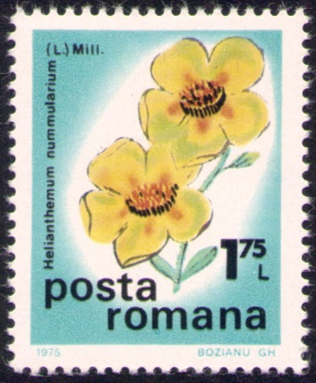 Timbre filatelice: Timbre filatelice cu flori de camp