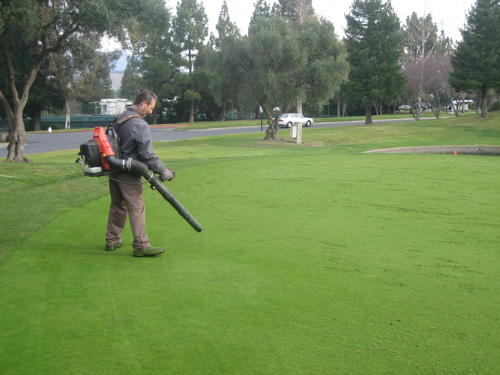 Golf Course Clippings: Vertical Mowing