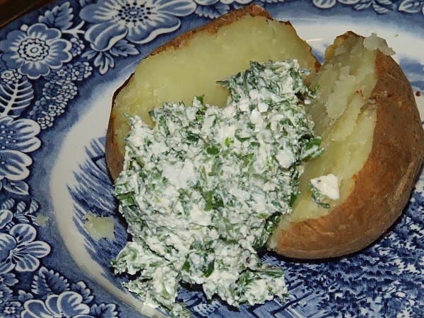 The Backyard Larder Blog: Salad Burnet - but not in a Salad!