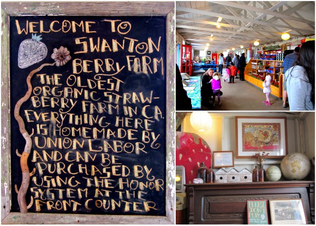 CELESTIAL PINES SANCTUARY: Swanton Berry Farm