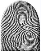 Soy Criminalista : DACTILOSCOPIA