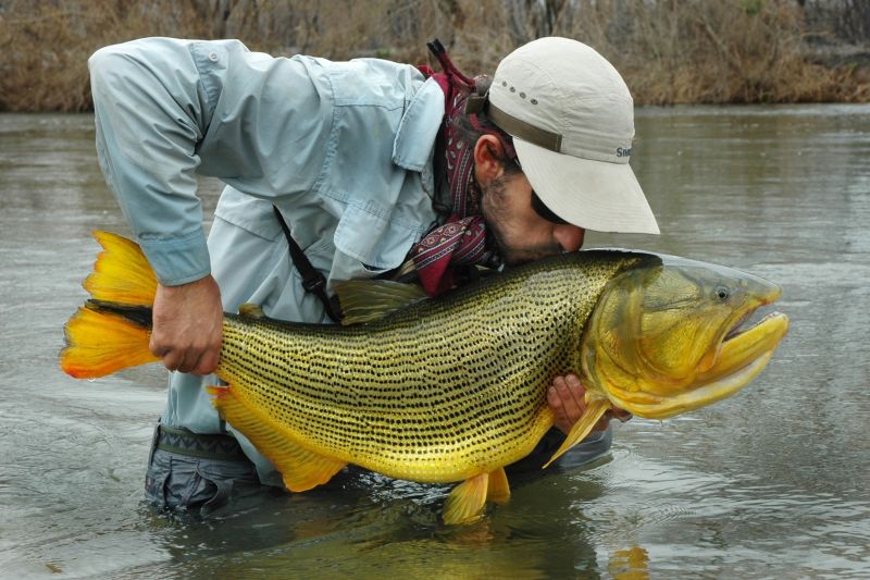 Vía libre para el Dorado - ASUNCION GOURMET