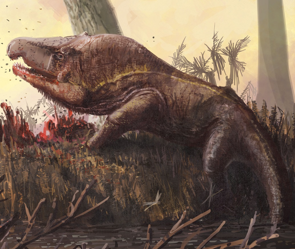 Mark Witton.com Blog: A salute to the Erythrosuchidae