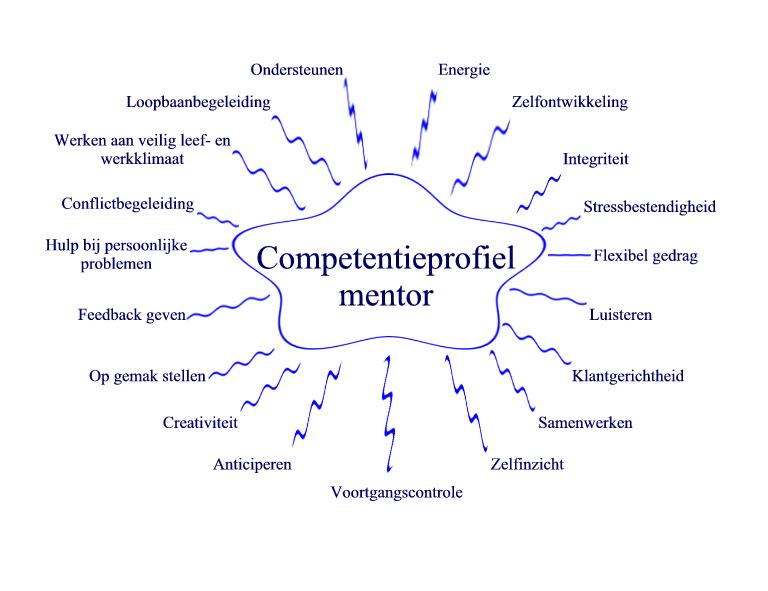 Rob Segers: Competentieprofiel mentor