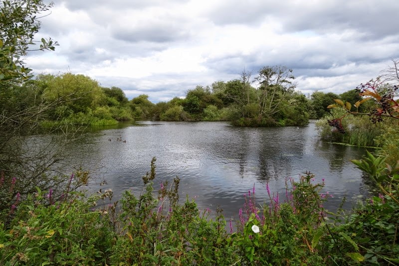 The RSPB Liverpool Local Group: Second time lucky – the David ...