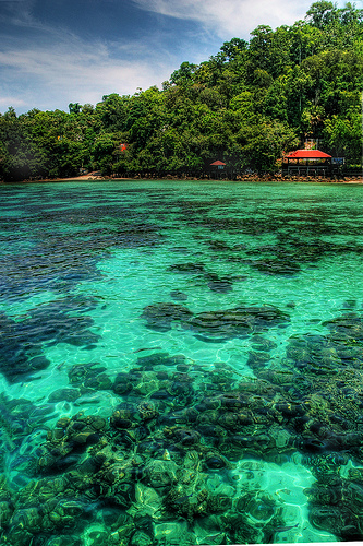 Pulau Payar Marine Park: About Us