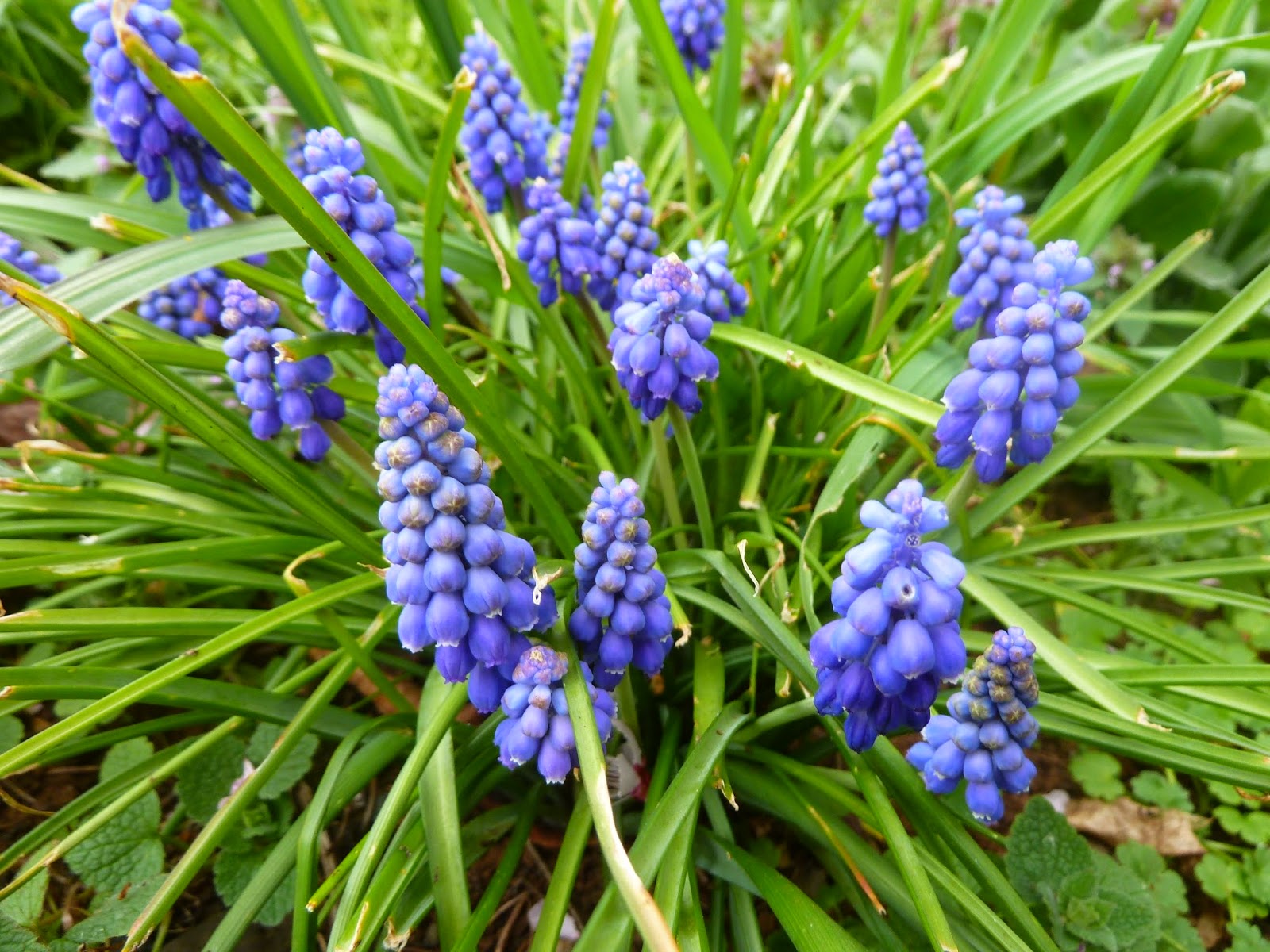 Boulderneigh: Around the house