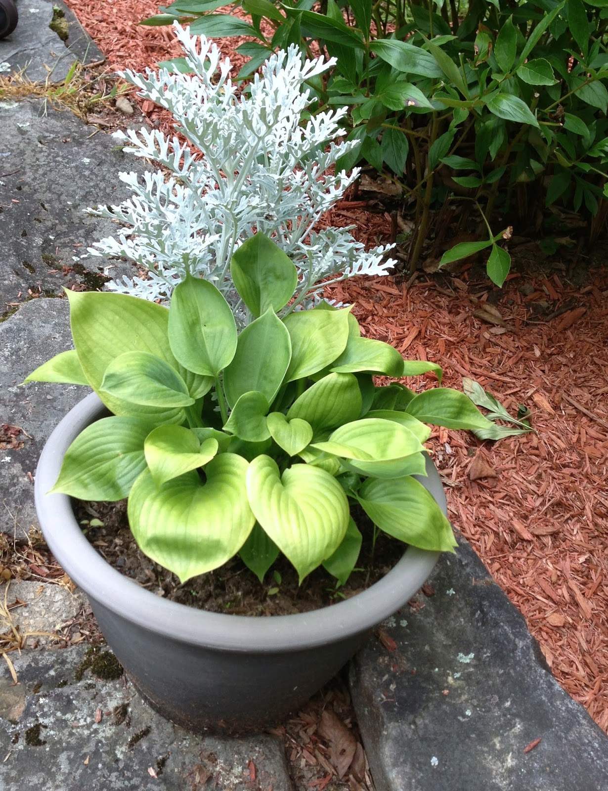 Decor4poor: August 2013