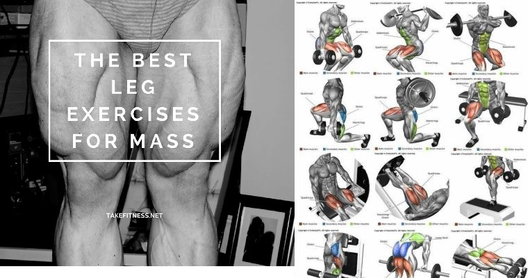 4 Weeks To Bigger Legs And Daily Multiple Exercise Plan