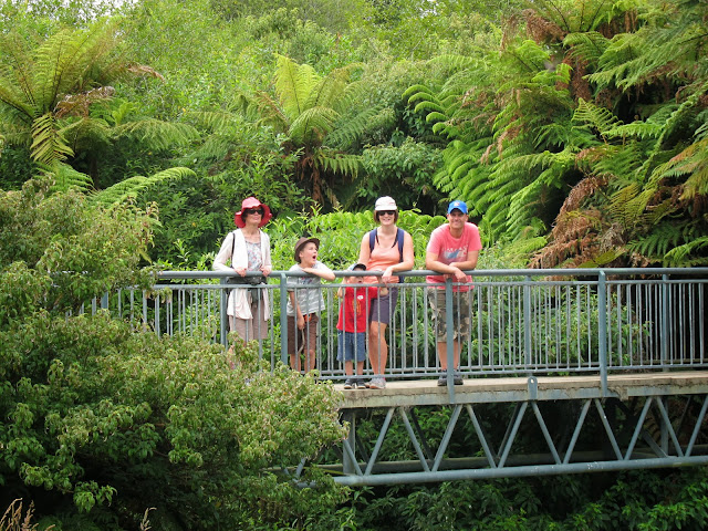 Walk to the Blue Spring: one of NZ's best kept secrets | the adventures ...