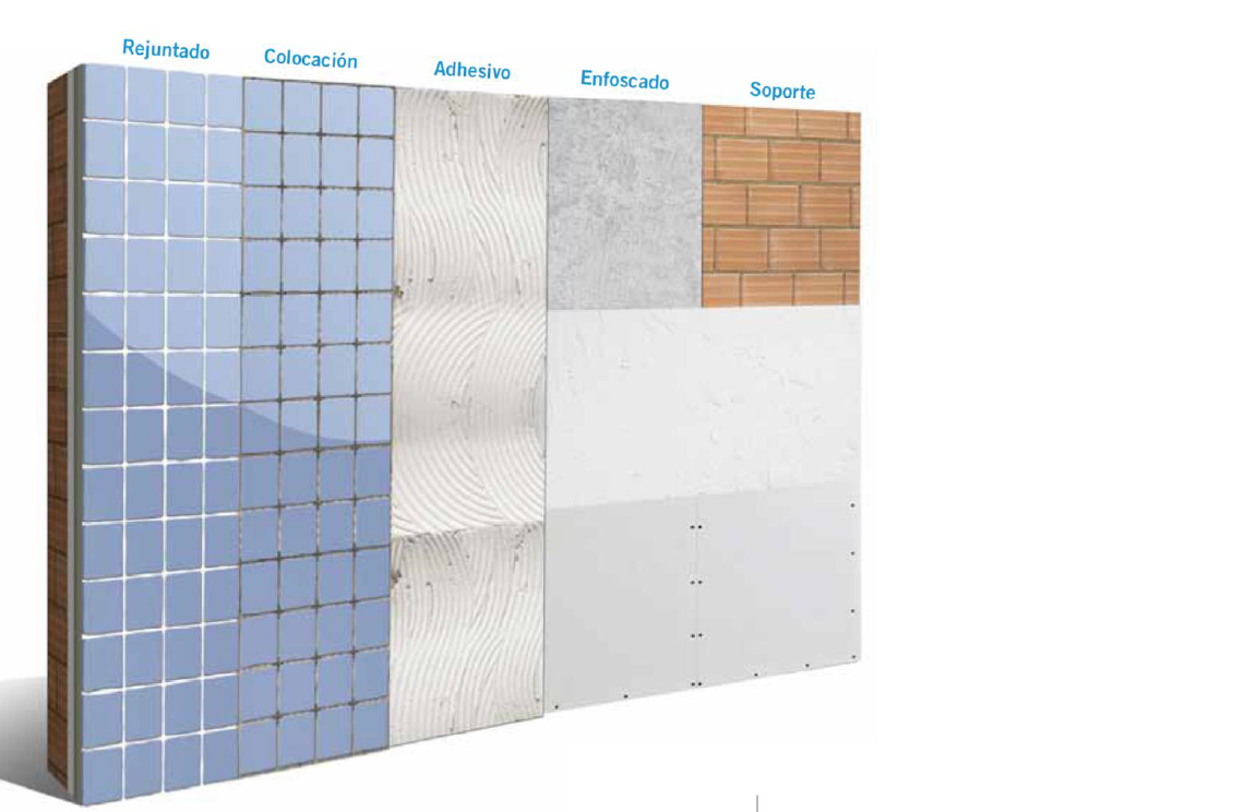 FP rehabilitacion FLC: SOLADOS