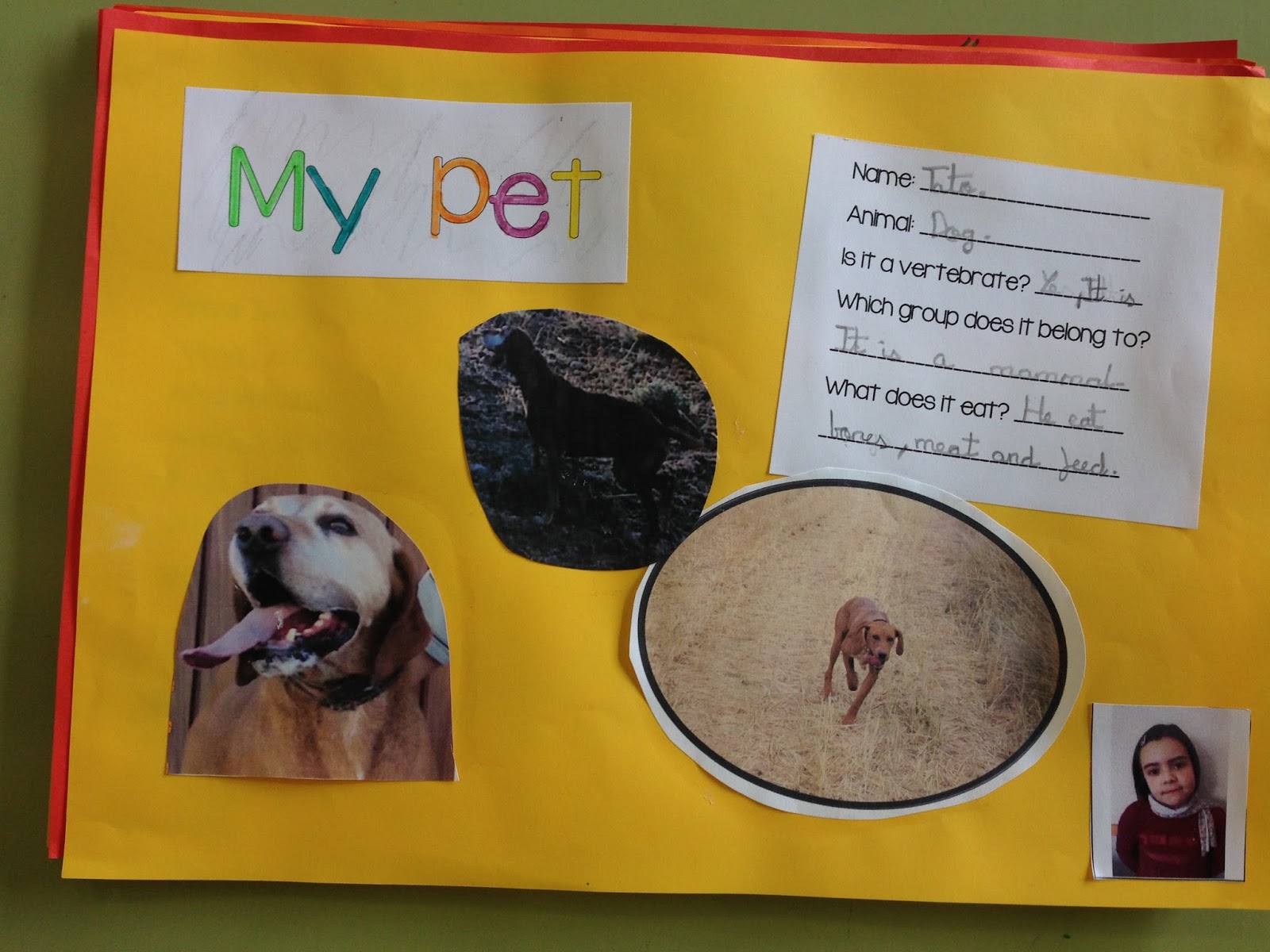 SCIENCE IN THE SCHOOL: My Pet