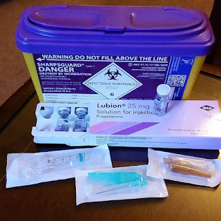 Click's Clan: IVF #3, FET#3: Lubion Injection