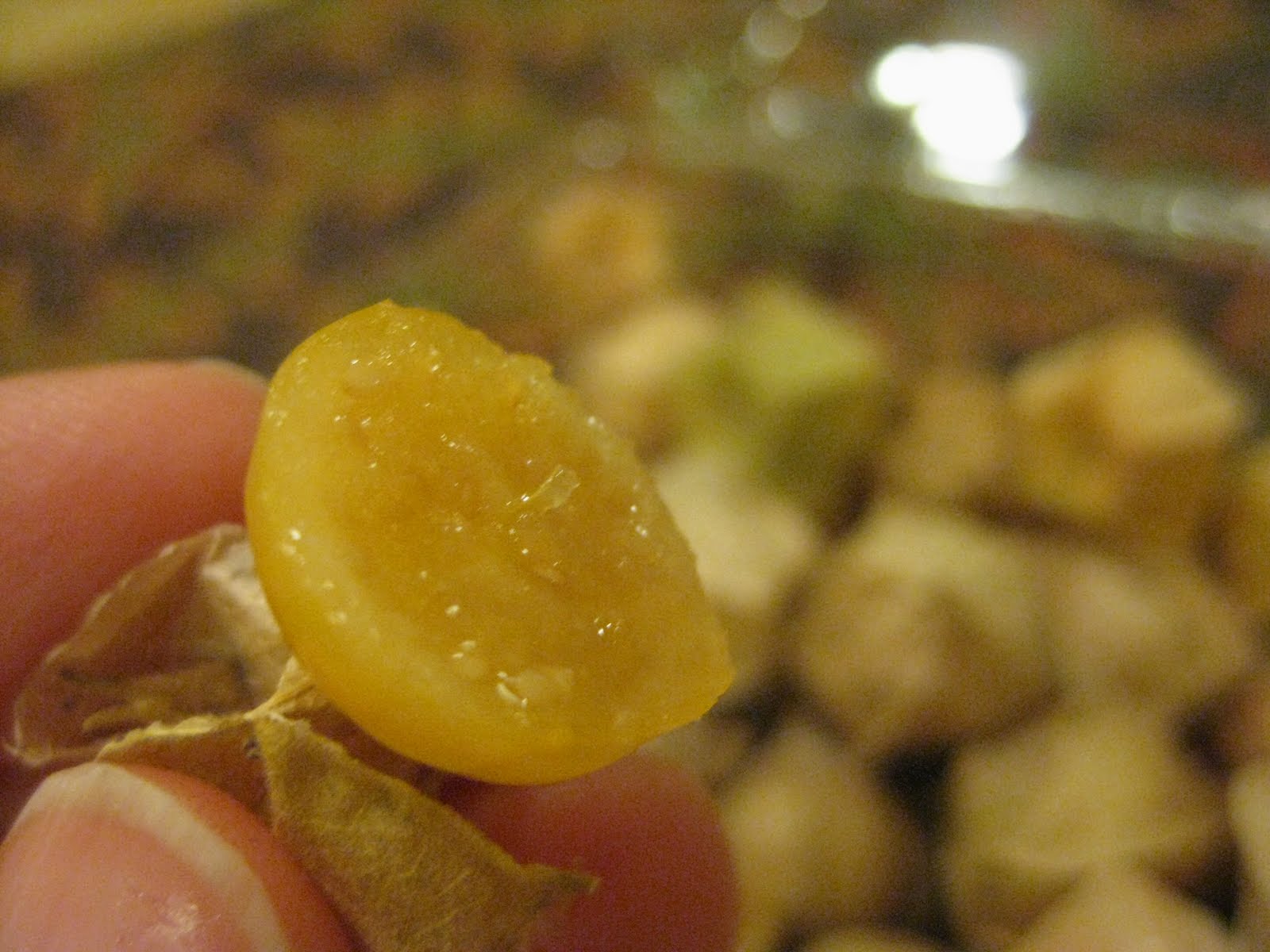 Sweet Peas and Pumpkins: Discovering Ground Cherries and Inside-Out ...