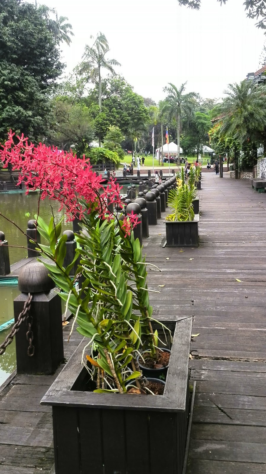 namakucella: TAMAN TASIK PERDANA @TAMAN BOTANI PERDANA KL