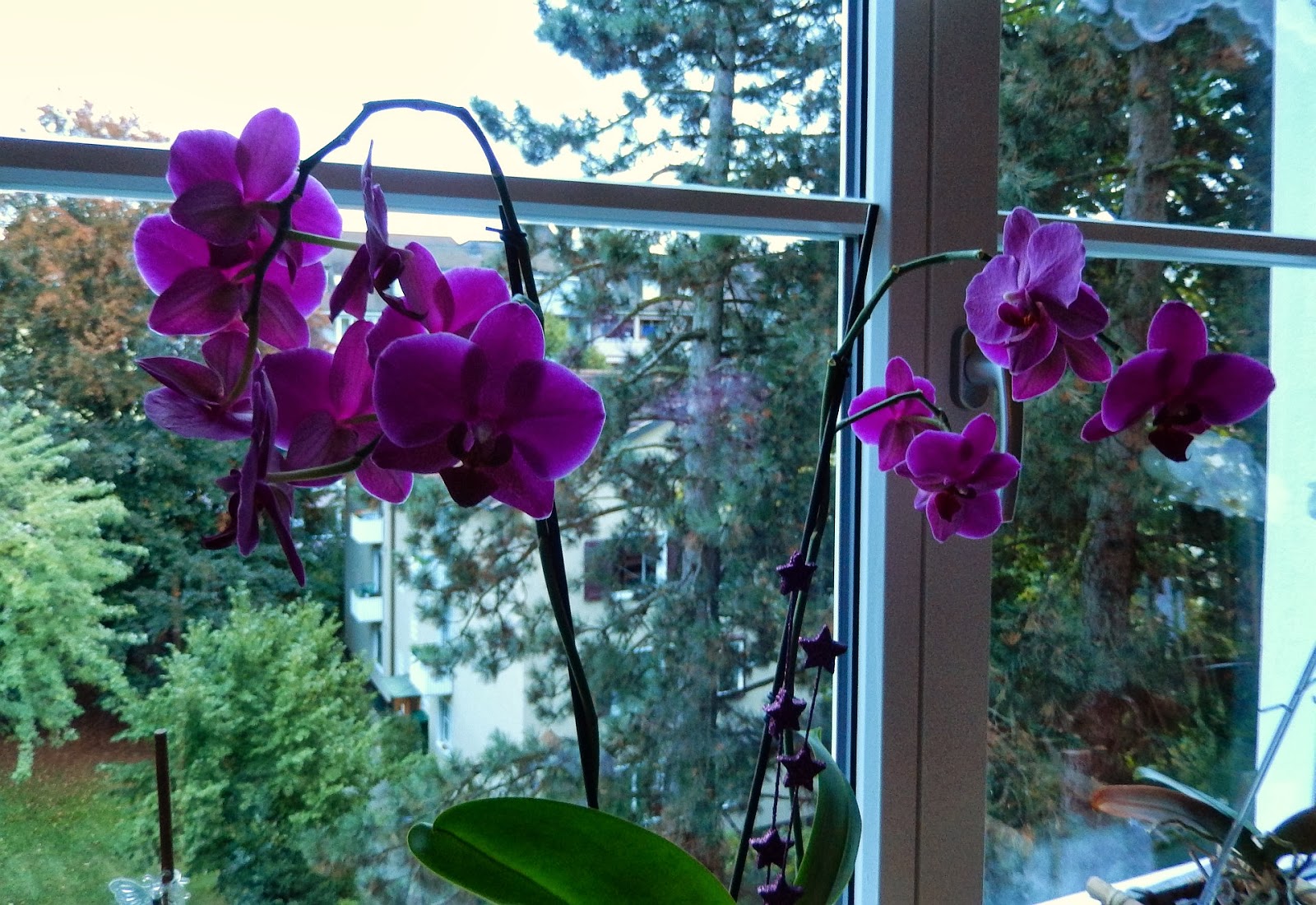 cofanettli's creativarbeiten: Freitag - Freutag