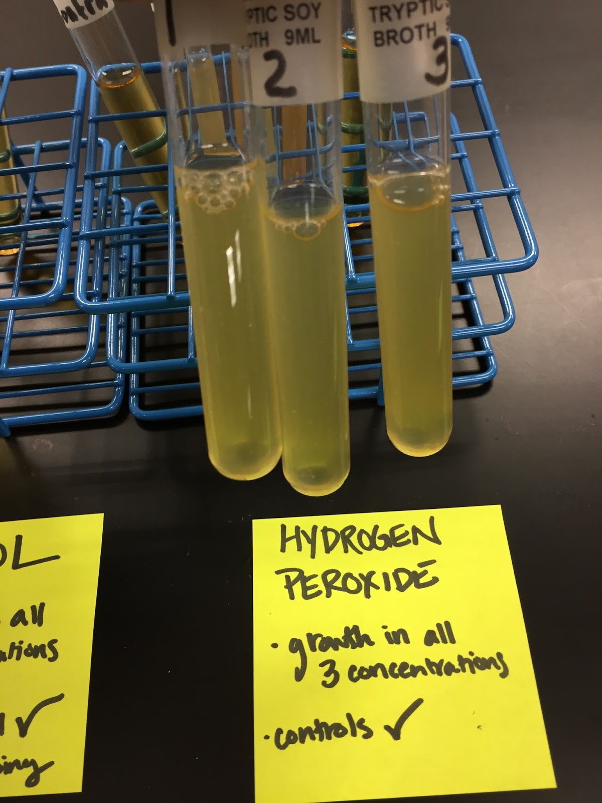 Theory & Practice: from Lab to Lifestyle: Testing Germicides ...
