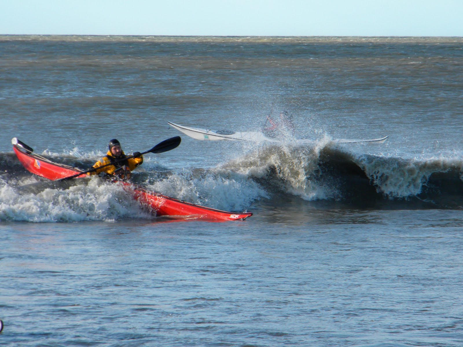 Tierra del Fuego kayak: Lo que brinda el mar