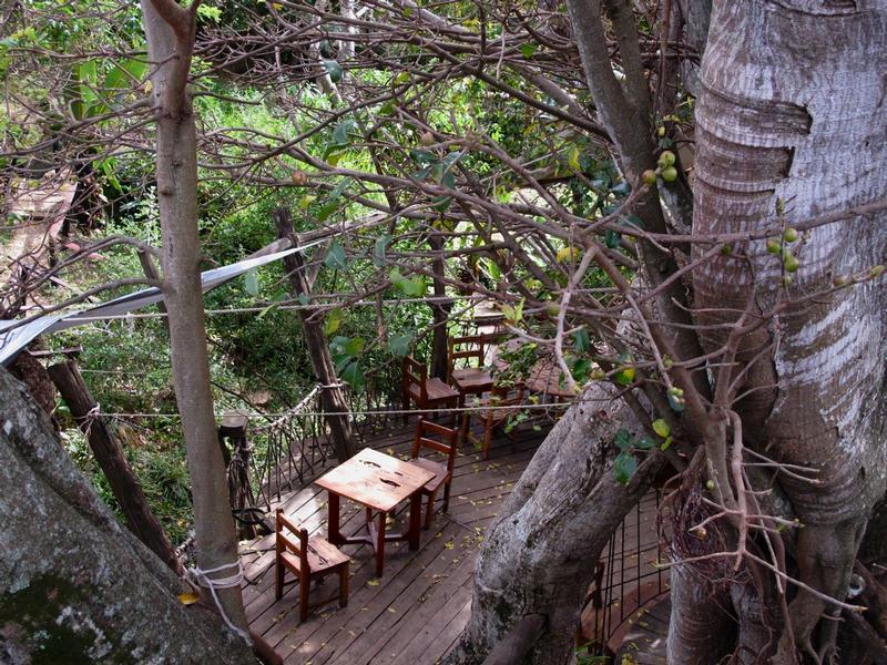 Its all about pictures