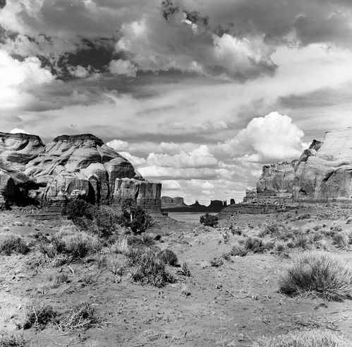 MSU ART 359 Class Blog: Barry Goldwater | by Amanda Smith