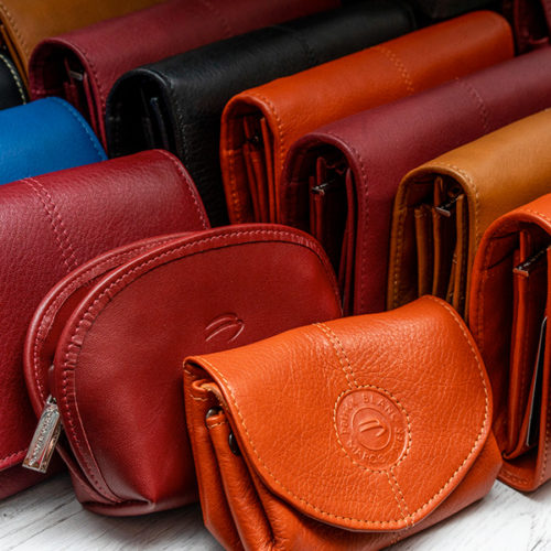 French Vocabulary Illustrated: maroquin