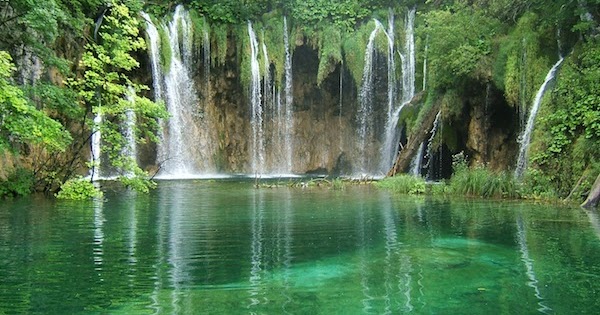 climas y biodiversidad