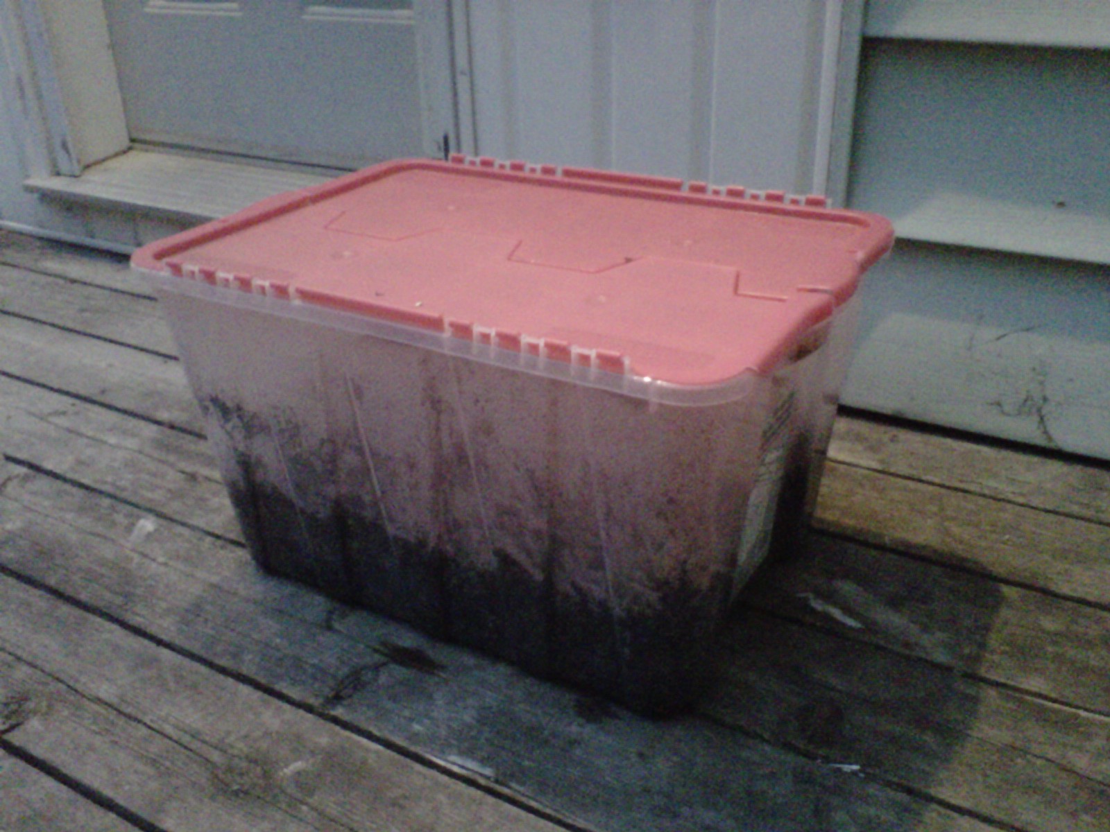 Northern Grapes: Grapevine propagation: green cuttings.