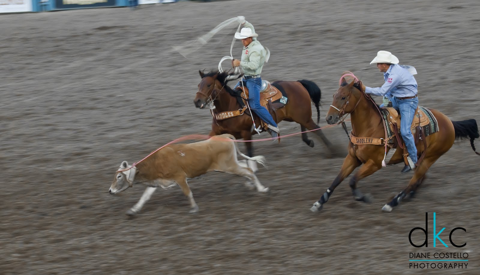 Diane K. Costello Photography: Reno Rodeo 2011