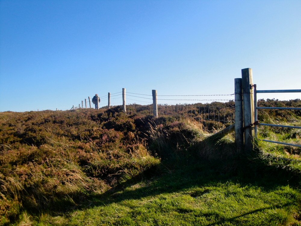 Slán go fóill, Ireland