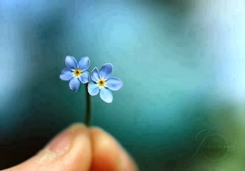 Memento Vivere. Acuérdate de Vivir.: Los Pequeños Detalles Son Los Que ... Memento Vivere. Acuérdate de Vivir.: Los Pequeños Detalles Son Los Que ...