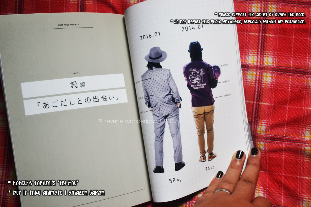 Kousuke Toriumi's 20th Anniversary Book - Tekitou - Reverie Wonderland