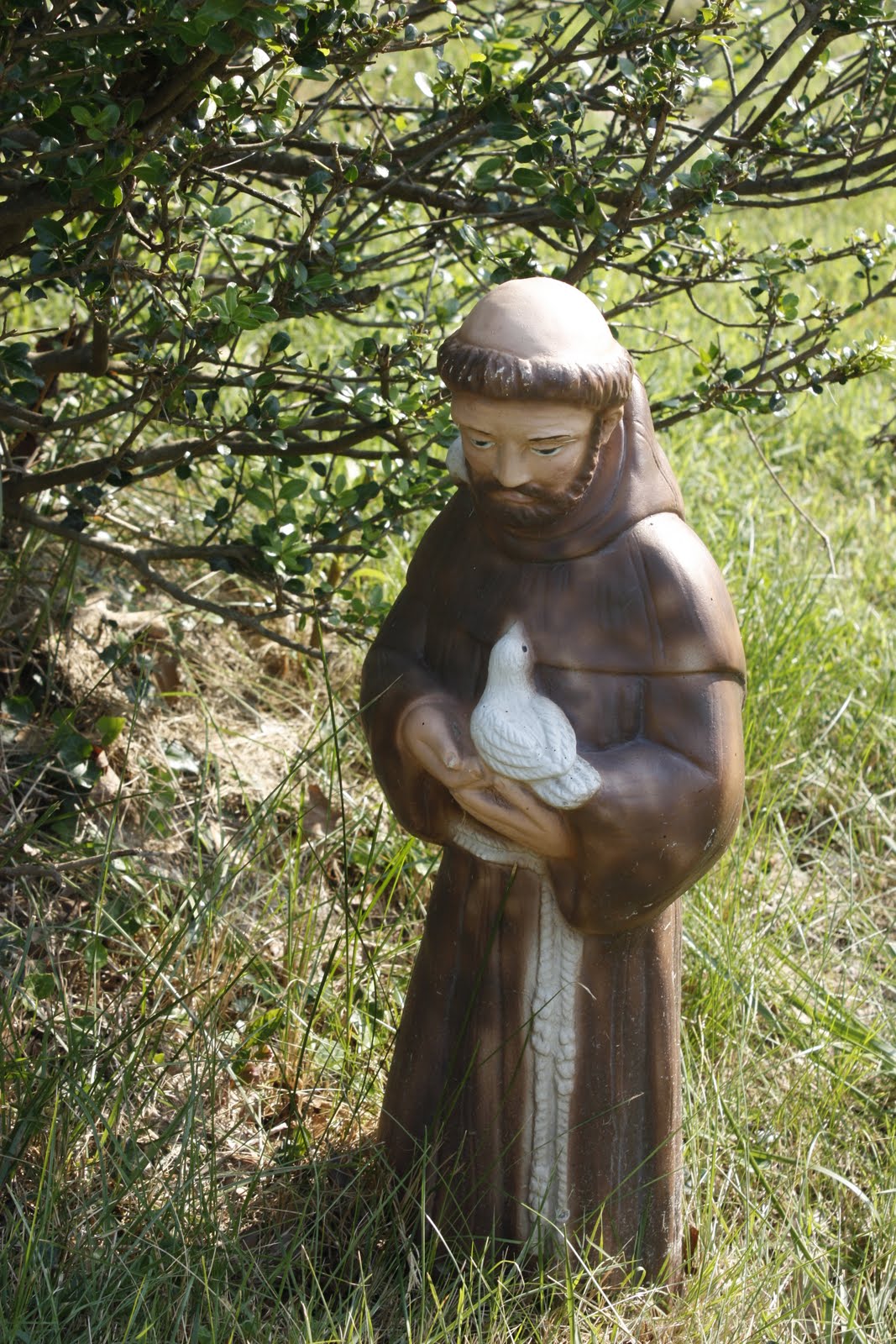 Grave Images: A real pet cemetery in Maryland