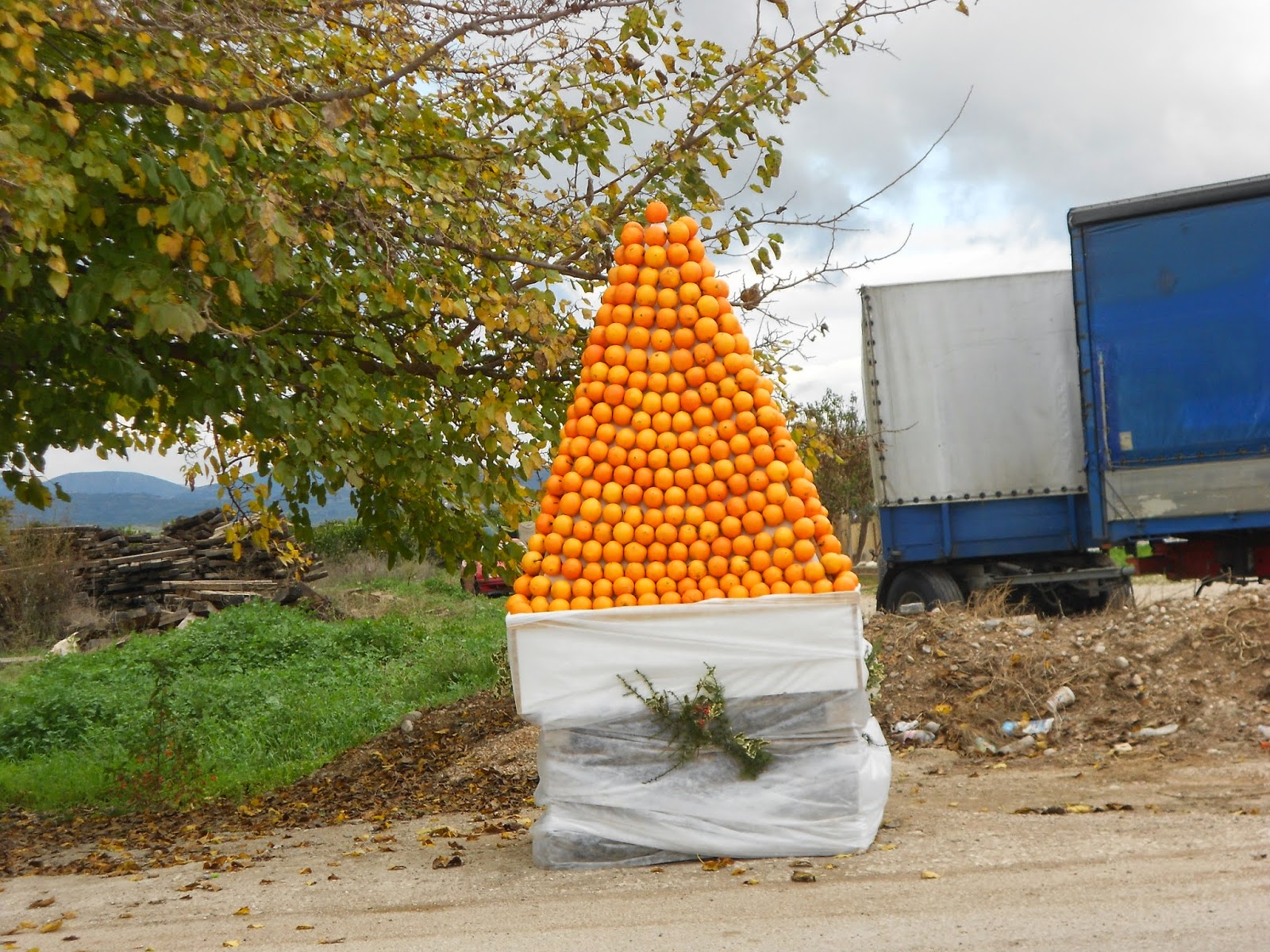 winetourism-peloponnese: Orange Pyramid of Egypt! ... in Argos