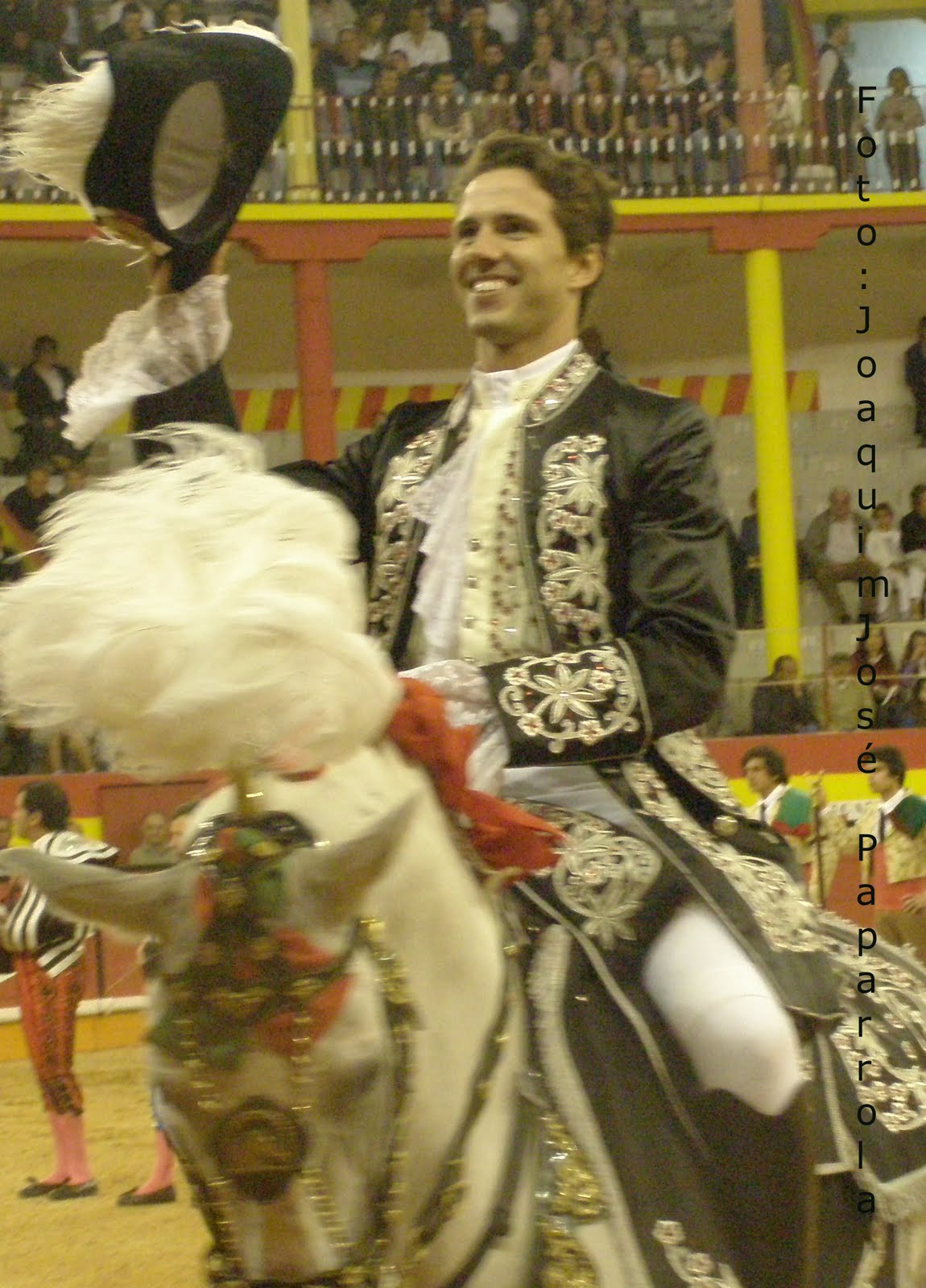 Classify another Portuguese bullfight cavalier Marcos Bastinhas