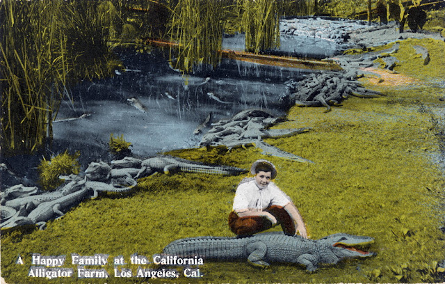 DECAYING HOLLYWOOD MANSIONS: The California Alligator Farm - Los Angeles