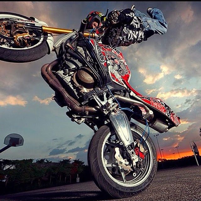 stunt - definition - What is