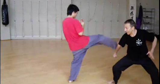 Low "blocks" against kicks - are they ridiculous?