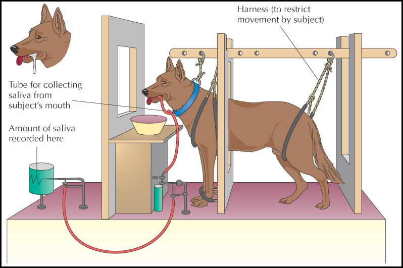 ILMU JIWAKU: Maret 2017