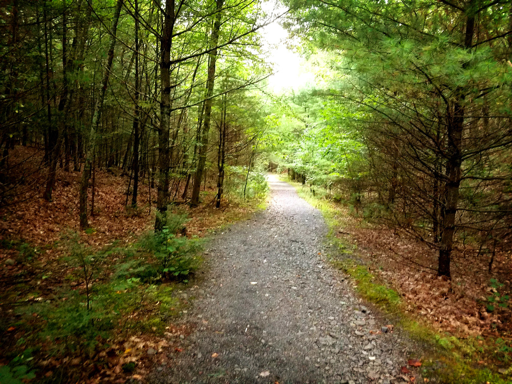 Hiking Trails in NJ and PA: Hiking the Cliff Trail to the Hackers Falls ...