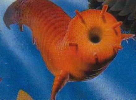 Blog de la Vida Prehistórica: Aysheaia