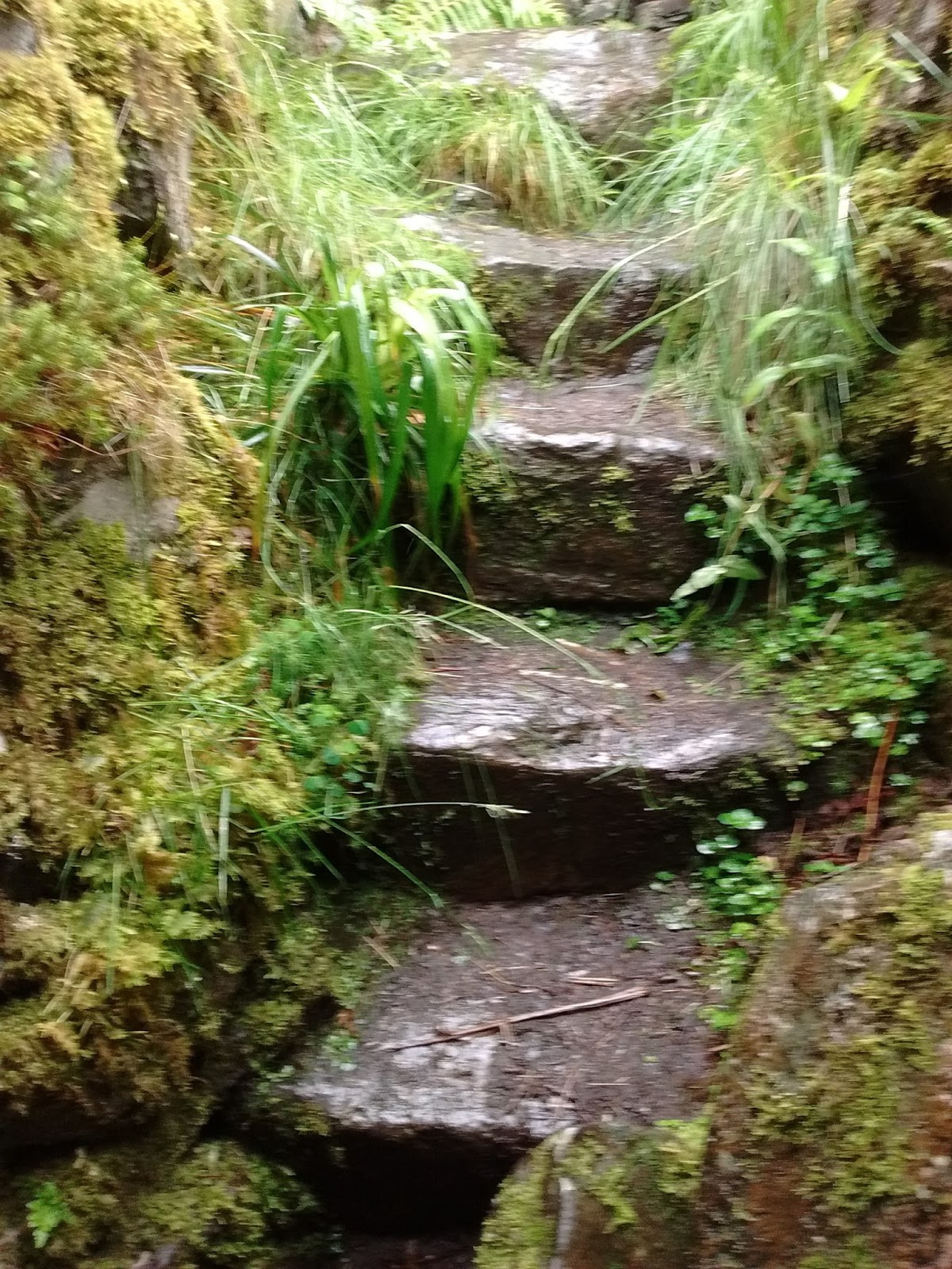 Isle of Skye Broch Baggers
