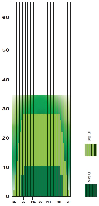 The Blockheads: PBA EXPERIENCE - CHEETAH