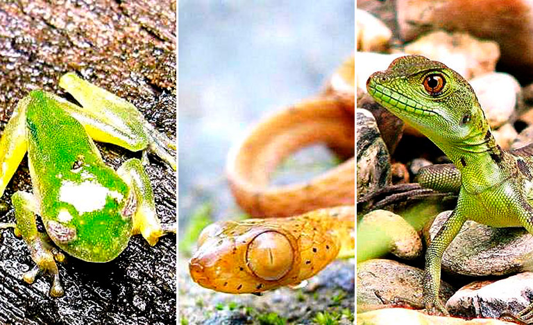 Reserva de la Biosfera del Río Plátano ~ Honduras