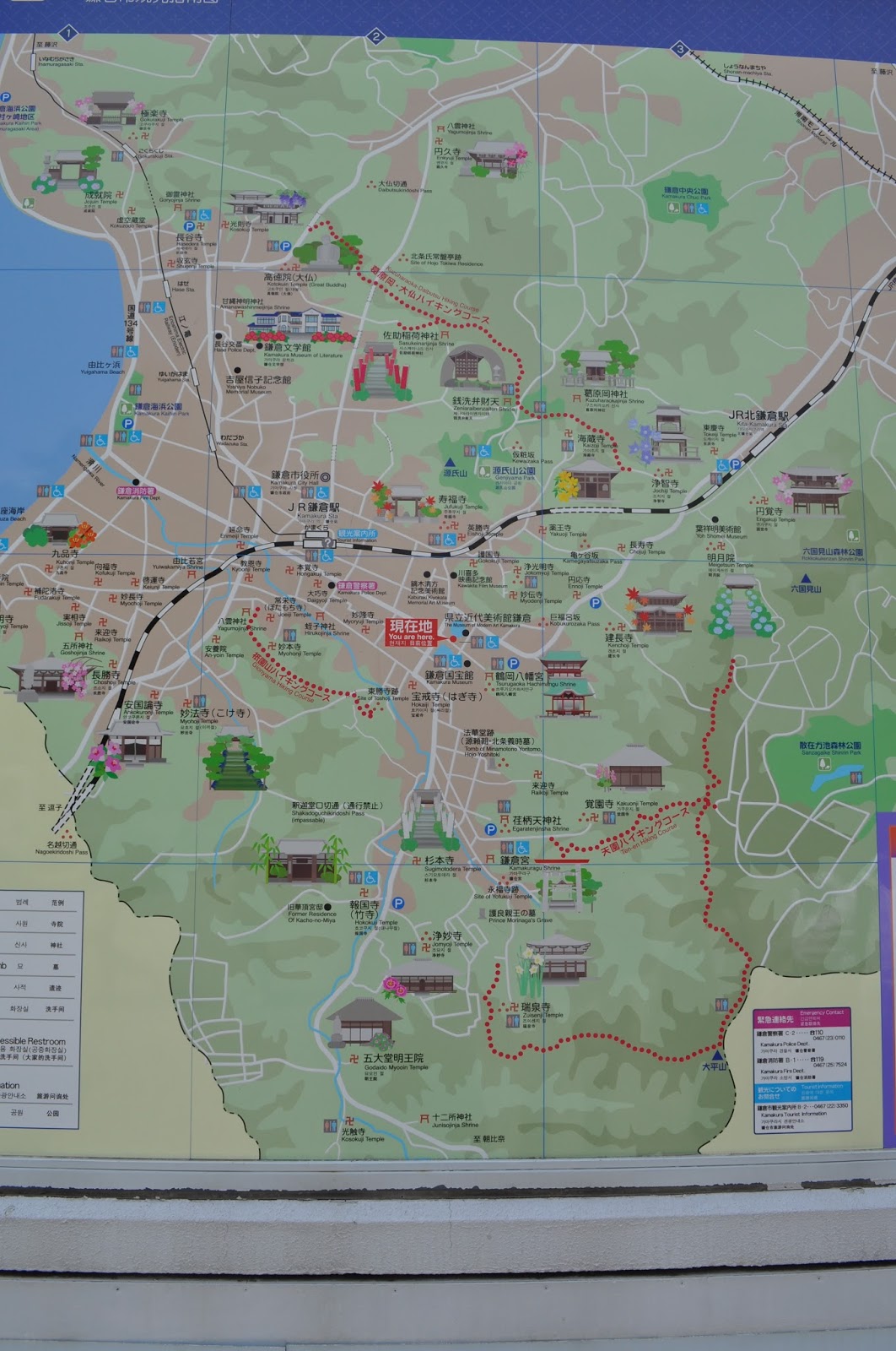 Adventures Abroad: A Day Trip to Kamakura