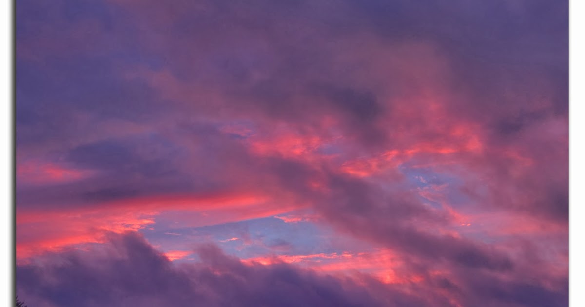 Henry S. Estes Photography: Pink Hues
