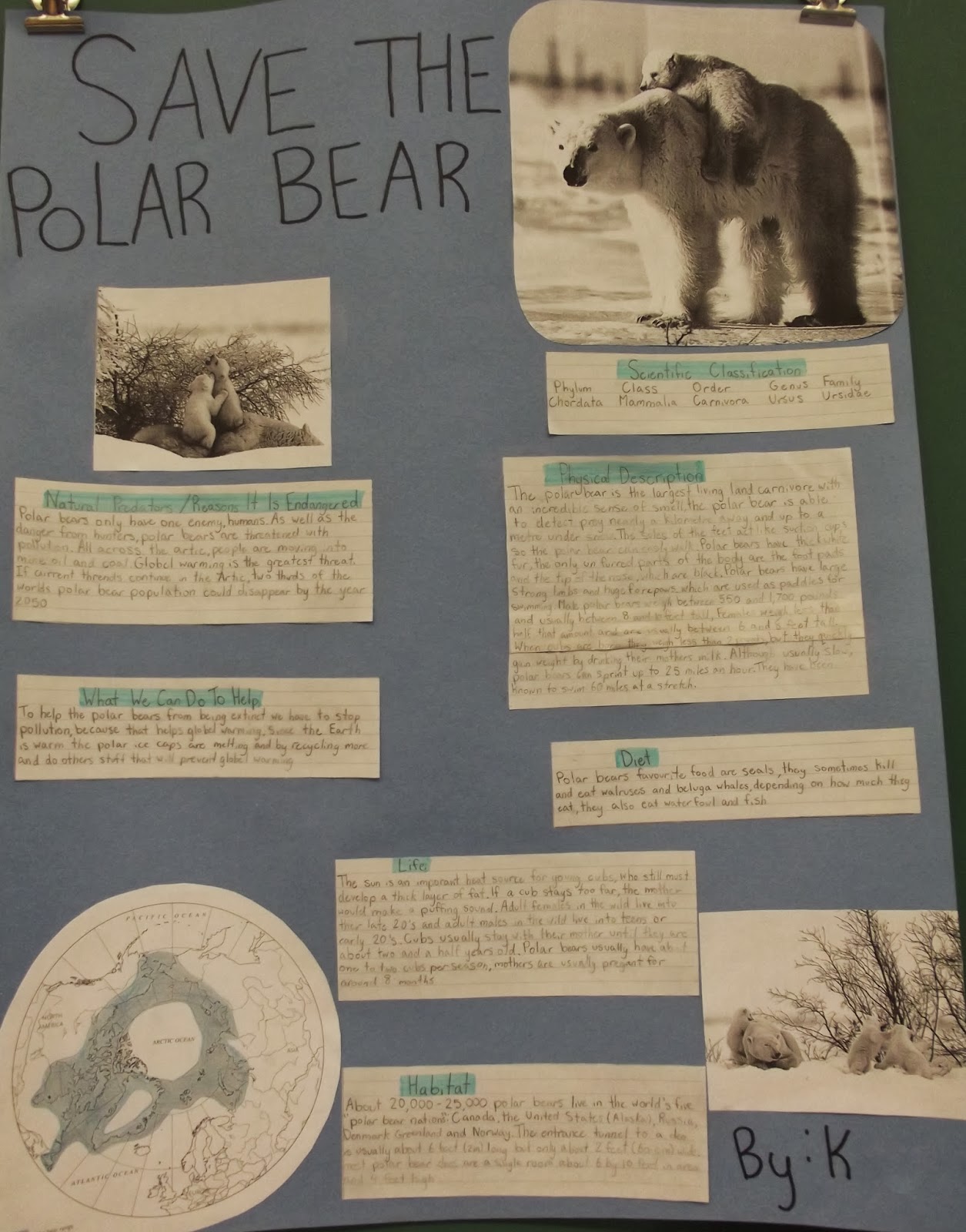 Room 13: Endangered Species Science Projects by Grade 6 Students