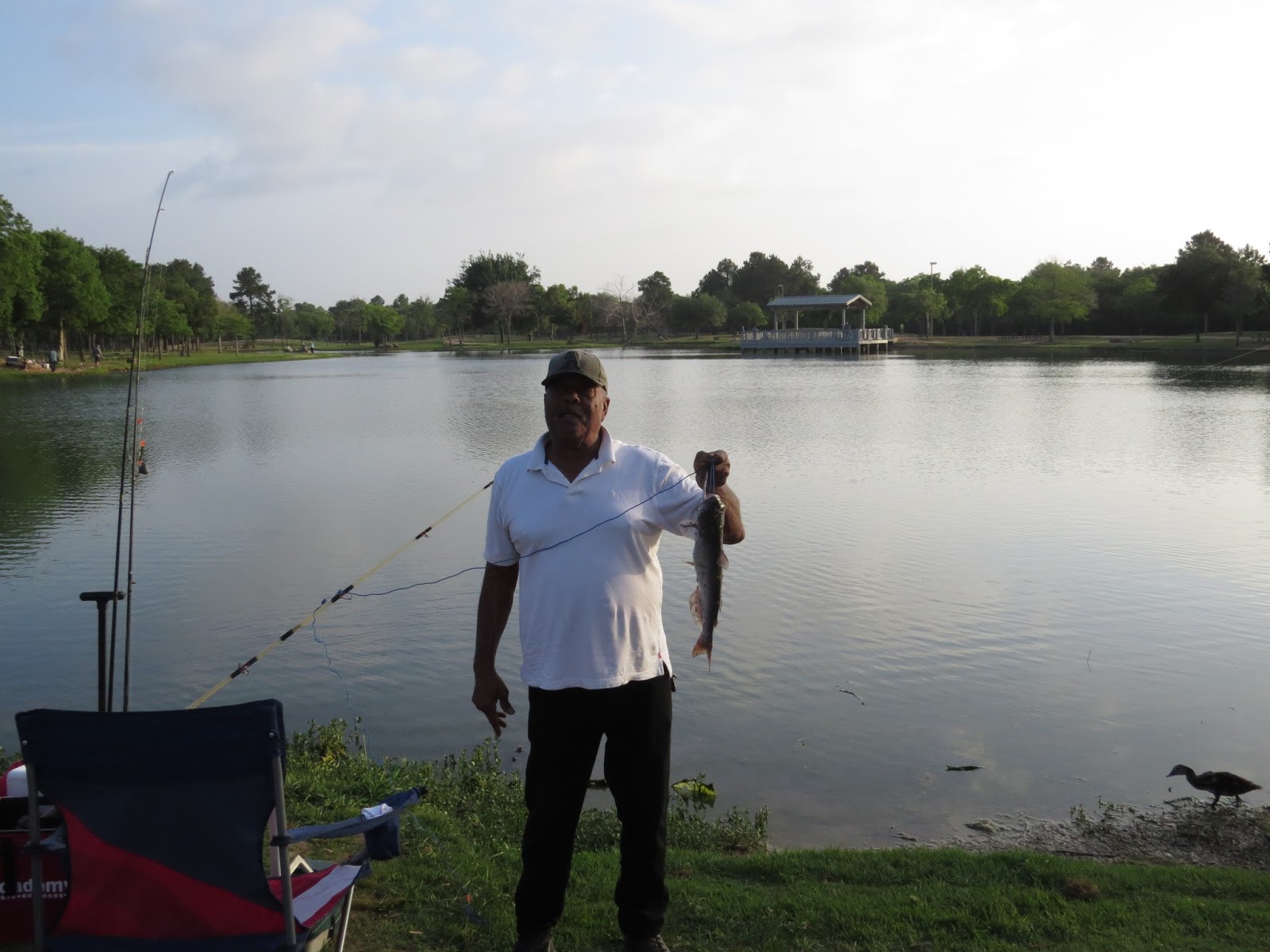 Where To Fish In Houston??: # 130 Mary Jo Peckham Park Katy Texas